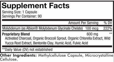 Roll over image to zoom in Click on image to zoom