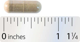 Integrative Therapeutics Motility Activator